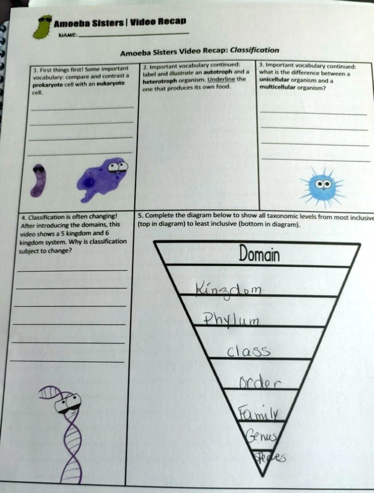 Amoeba Sisters | Video Recap - Gaviki