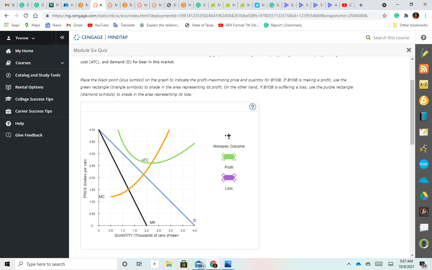 Profit maximization and loss minimization - Gaviki